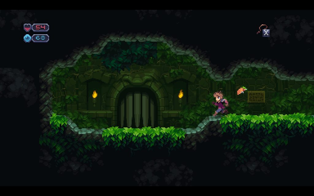 (Review) Chasm – The Videogame Backlog